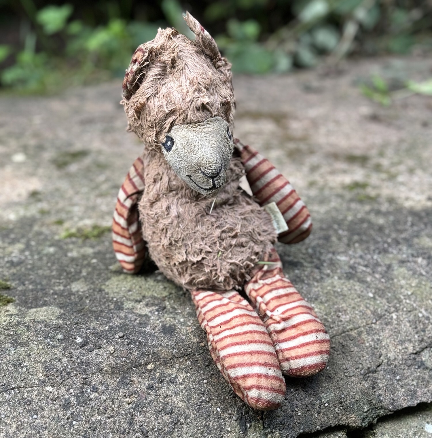 Who is missing tigger? – Pete's Blog